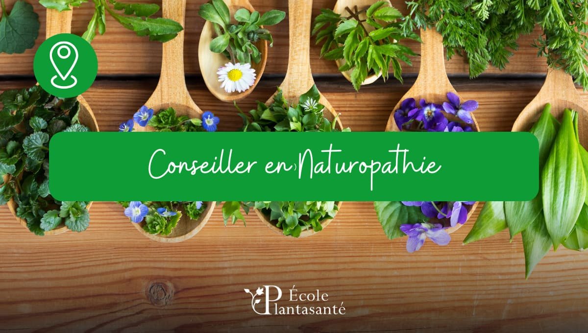 Formation Conseiller en Naturopathie - Plantasanté