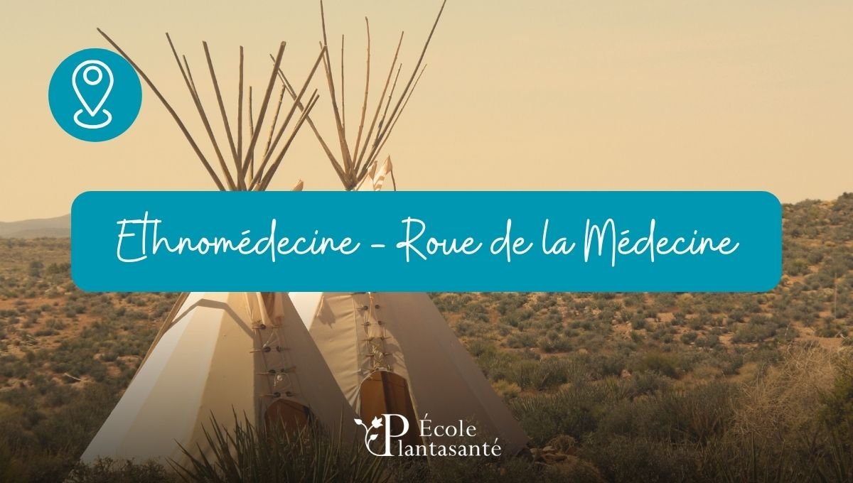 Formation Ethnomédecine - Roue de la Médecine - Plantasanté